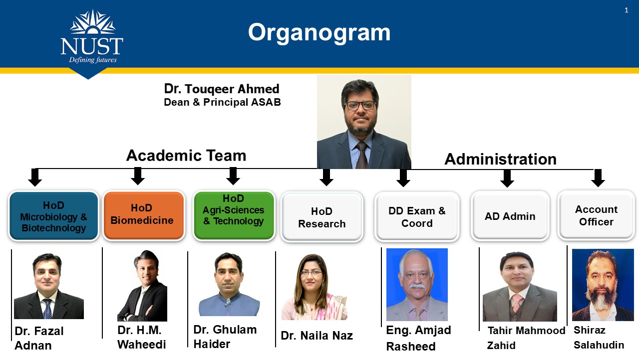 ASAB Organogram - NUST Atta-ur-Rahman School of Applied Biosciences (ASAB)